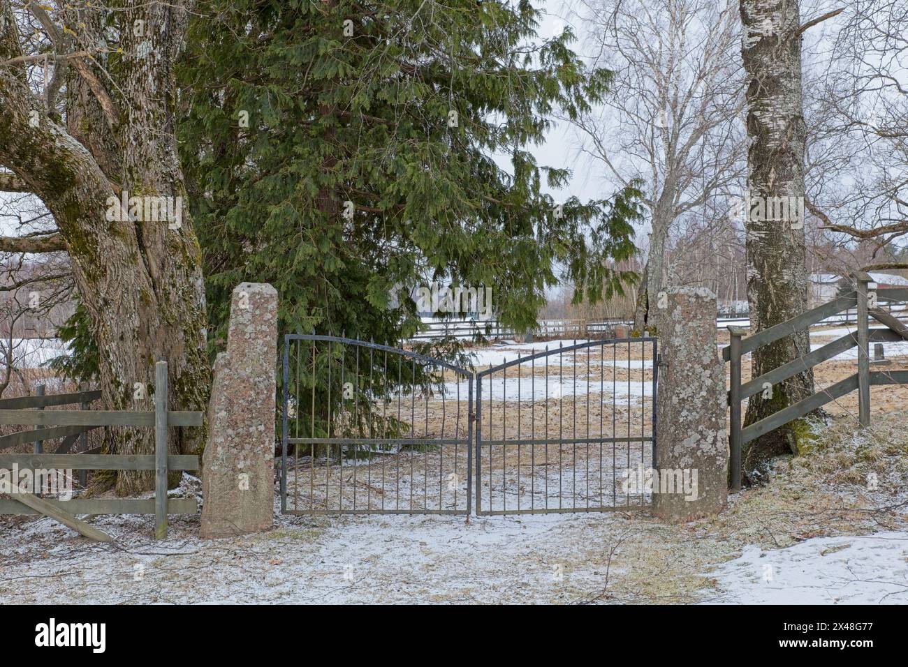 Closed old wrought iron gates mounted on stone gateposts to cemetery in ...