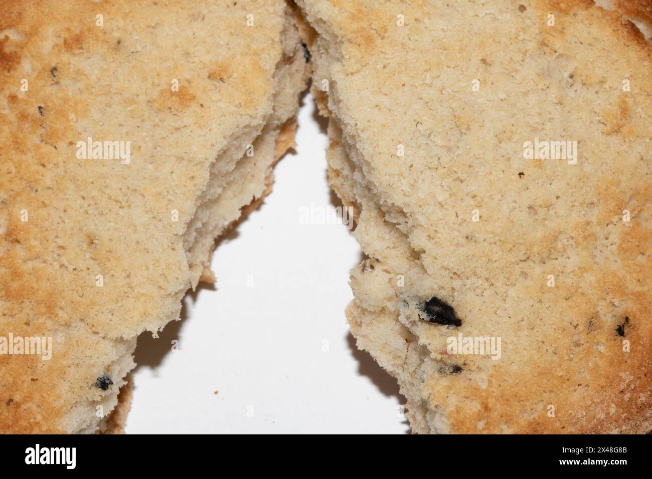 A Very Burnt Bread Roll Torn or Cut in Half Toast Close Up Texture ...