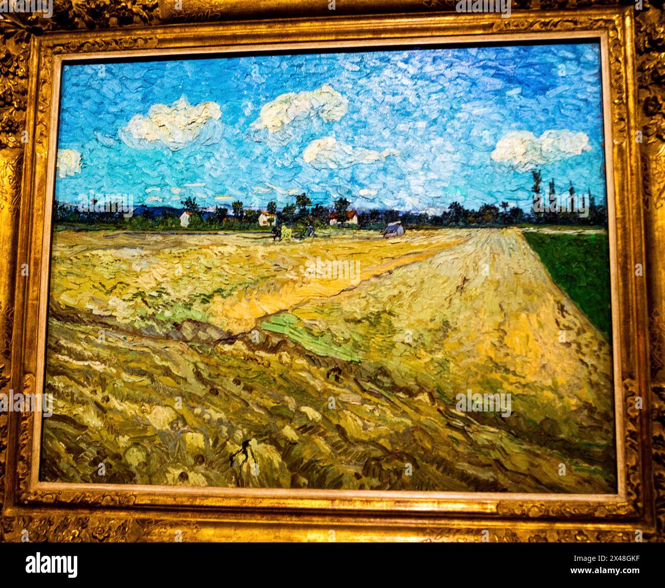 The Furrows at the Van Gogh Museum in Amsterdam, Netherlands Stock ...