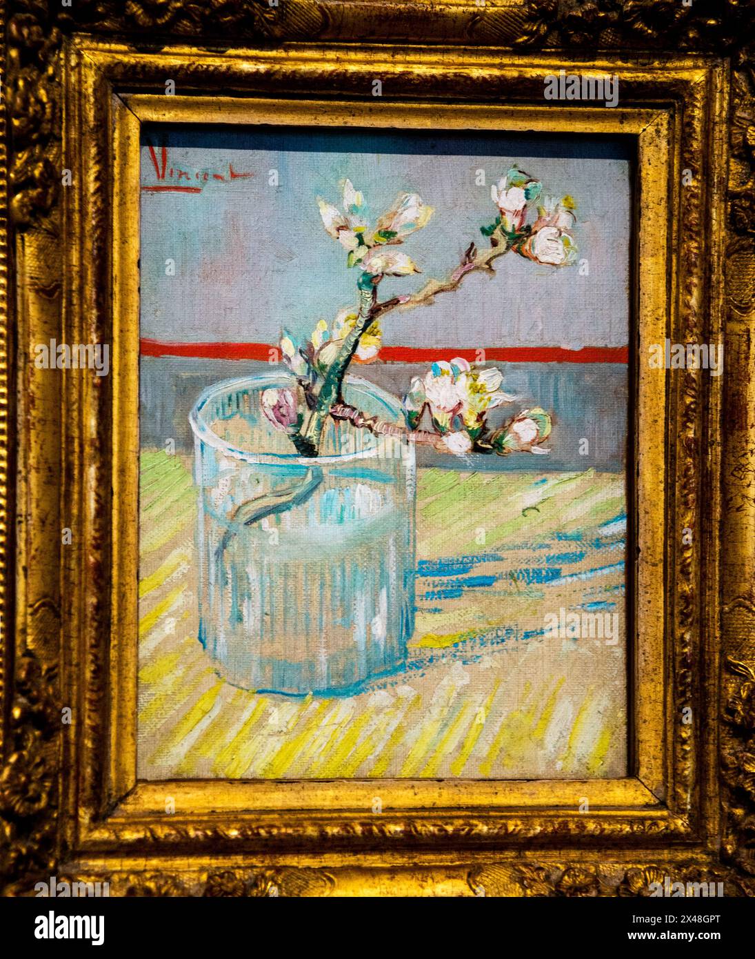 Spring of Flowering Almond in a Glass at the Van Gogh Museum in ...