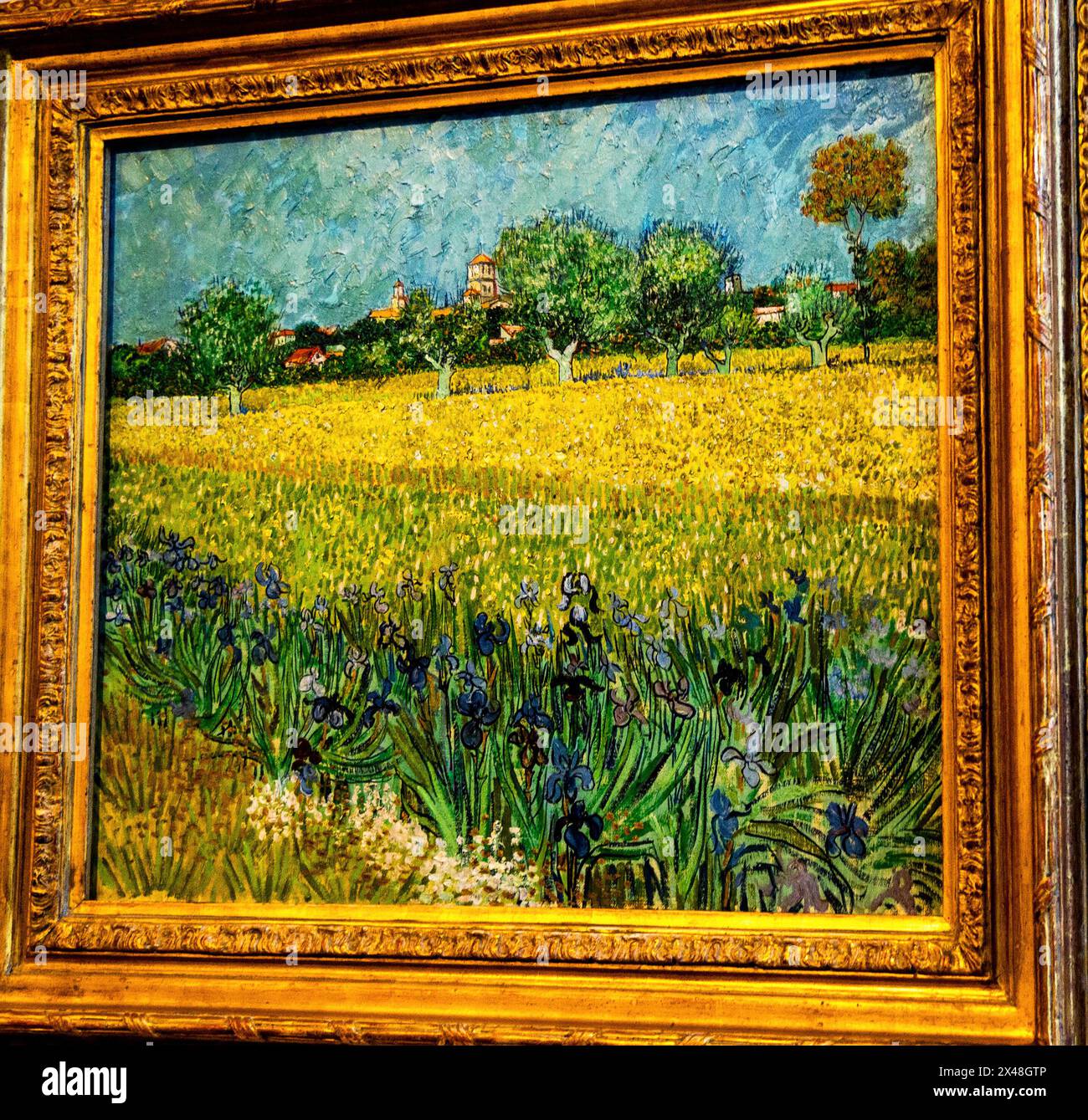 Van gogh arles iris hi-res stock photography and images - Alamy