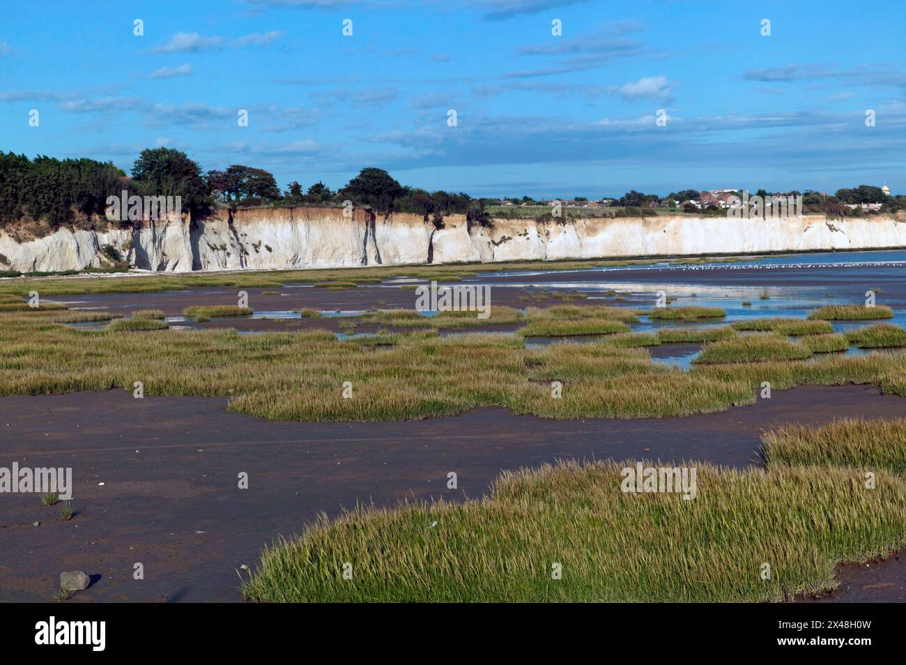 Pegwell Bay Nature Reserve, Pegwell Bay Kent Stock Photo - Alamy
