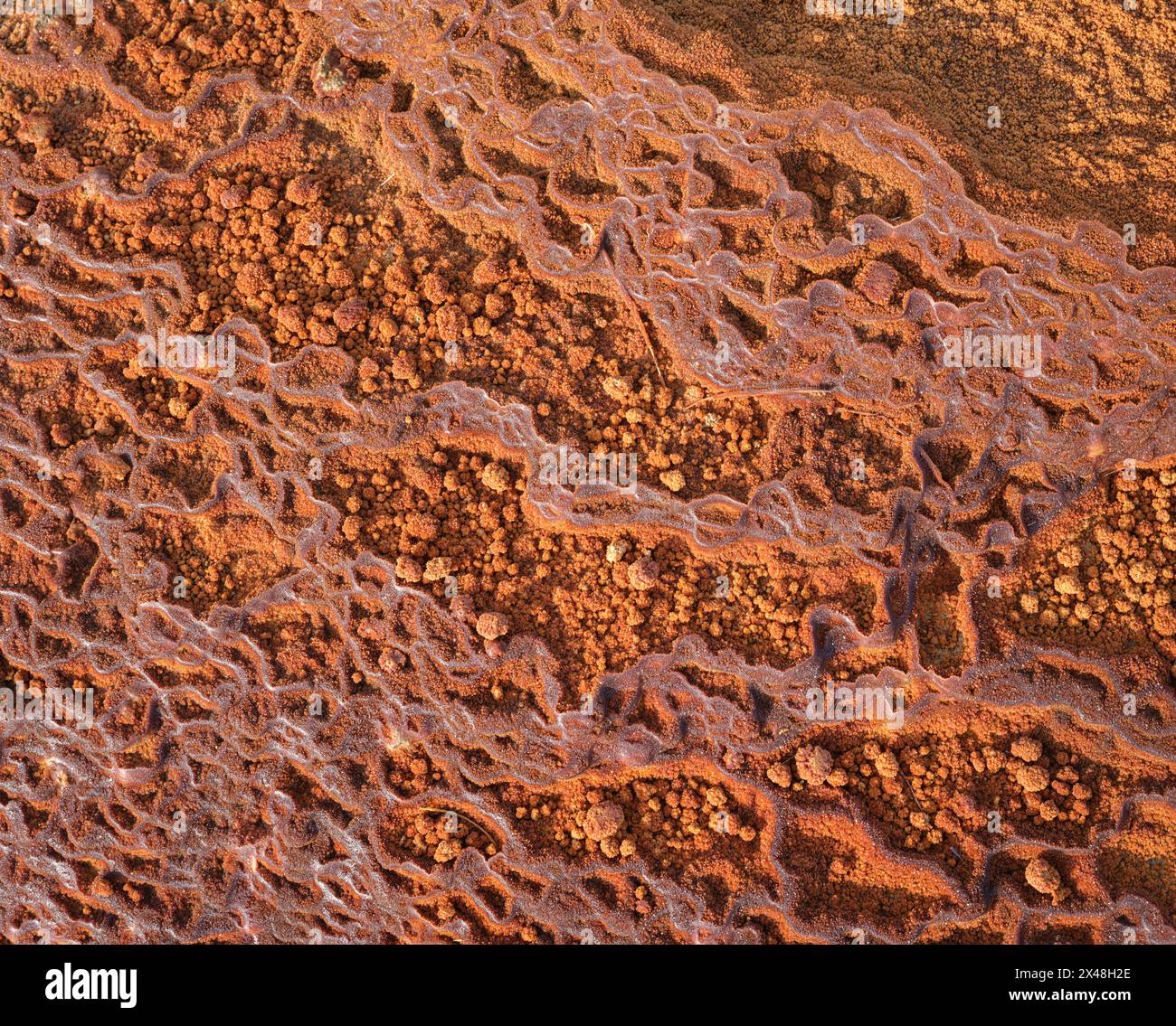 Small scale tufa dams caused by slow flowing calcium rich flushes at ...