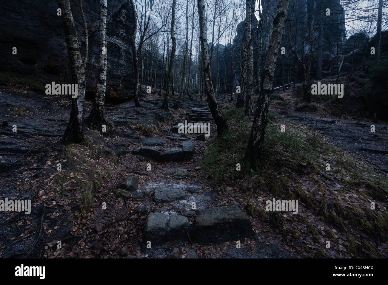 Gloomy and totally moody path lost in the foggy rocks with the best ...