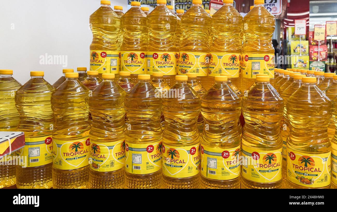 Brands of cooking oils on the rack of supermarket. Majority of ...