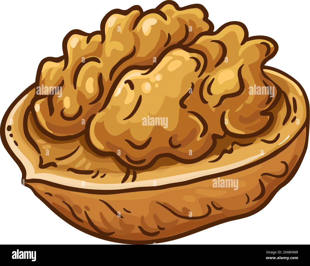 Walnut Colored Detailed Illustration Isolated Stock Vector Image & Art ...