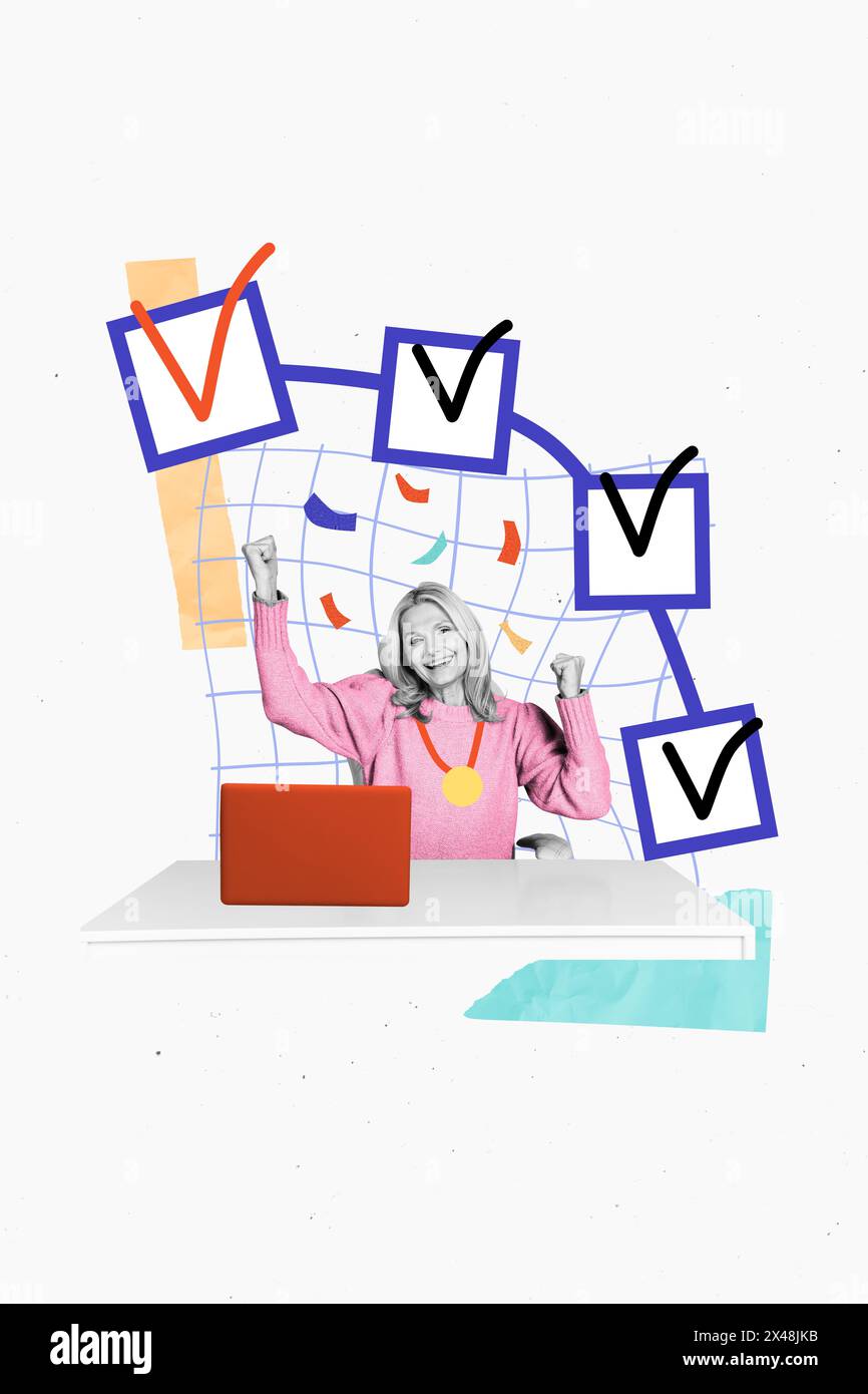 Vertical image picture collage happy joyful woman laptop completed ...