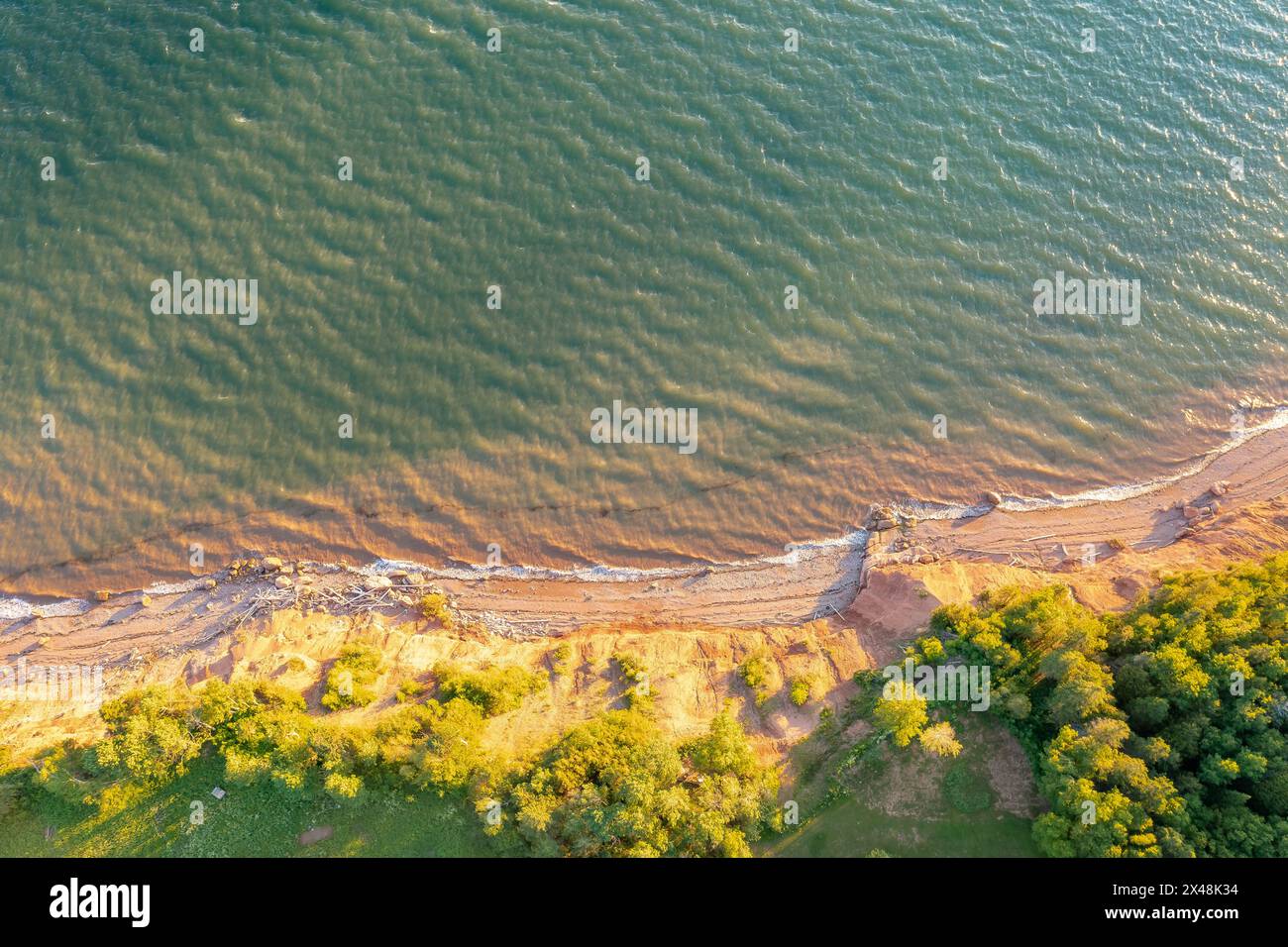 Amazing beach with pink sand near sea. Tropical vegetation with tree ...