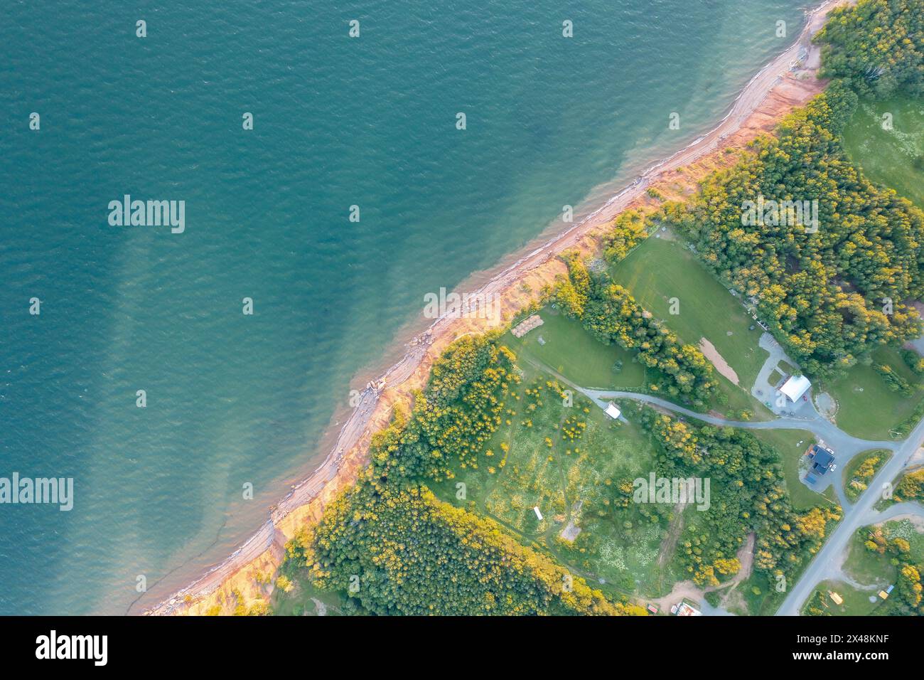 Amazing beach with pink sand near sea. Tropical vegetation with palm ...