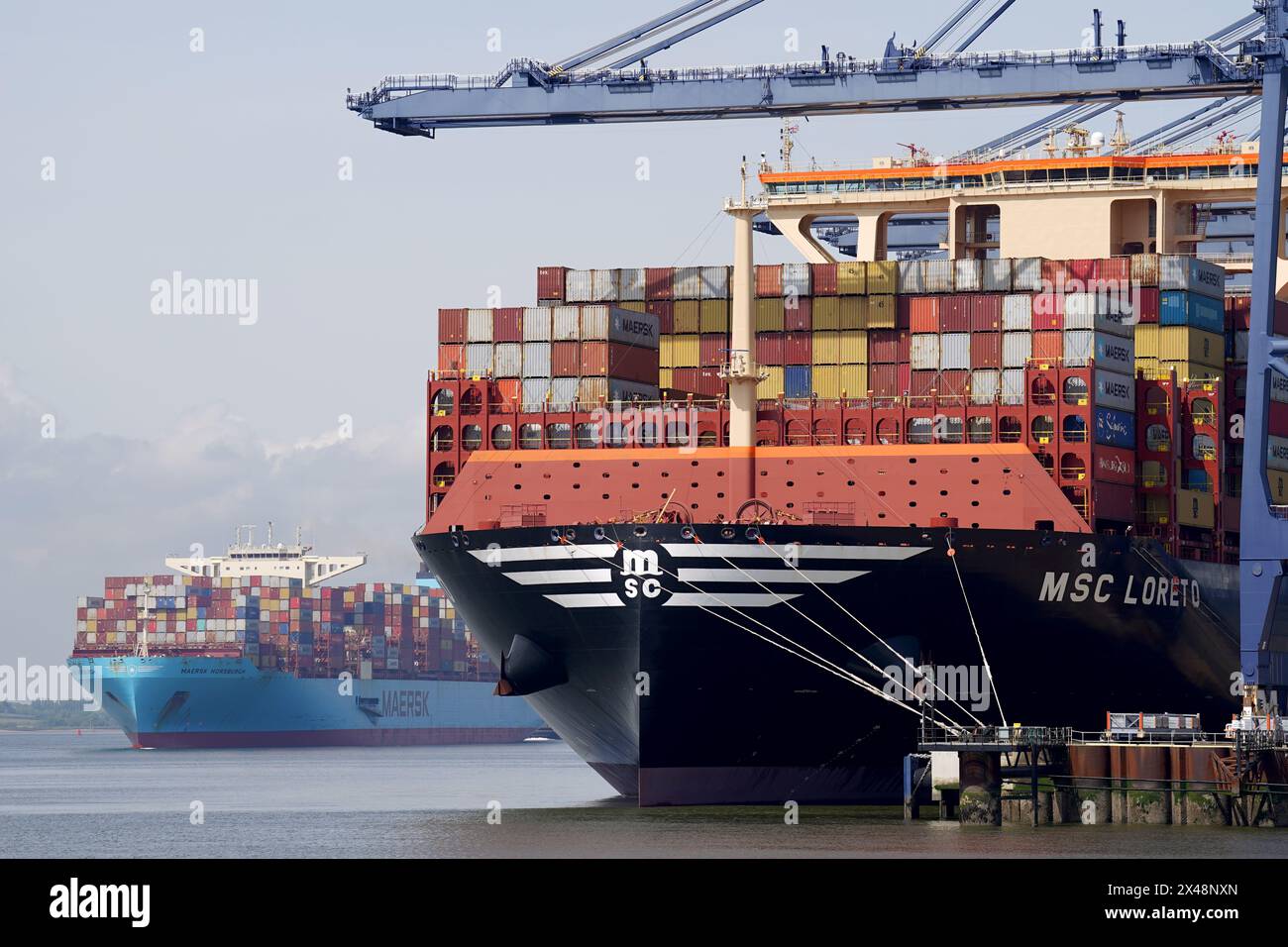 Maersk Horsburgh passes the world's largest cargo ship MSC Loreto as ...