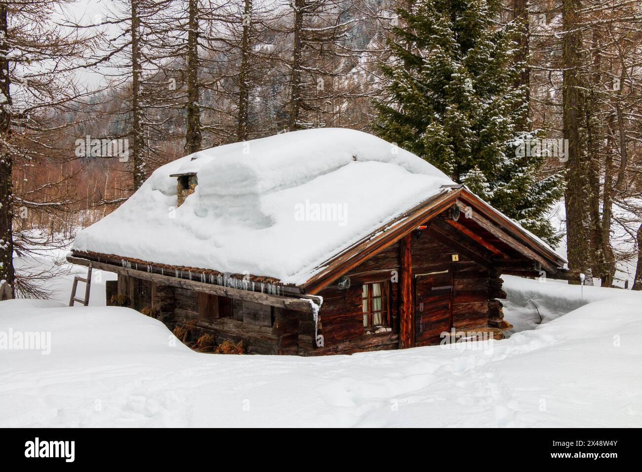 small wooden cottage immersed in the woods covered in snow Stock Photo ...