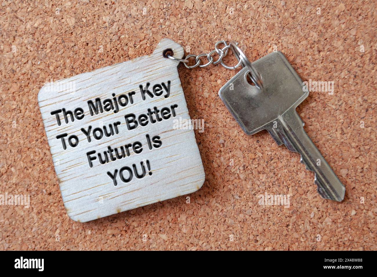 The major key to your better future is you text. Inspirational and ...