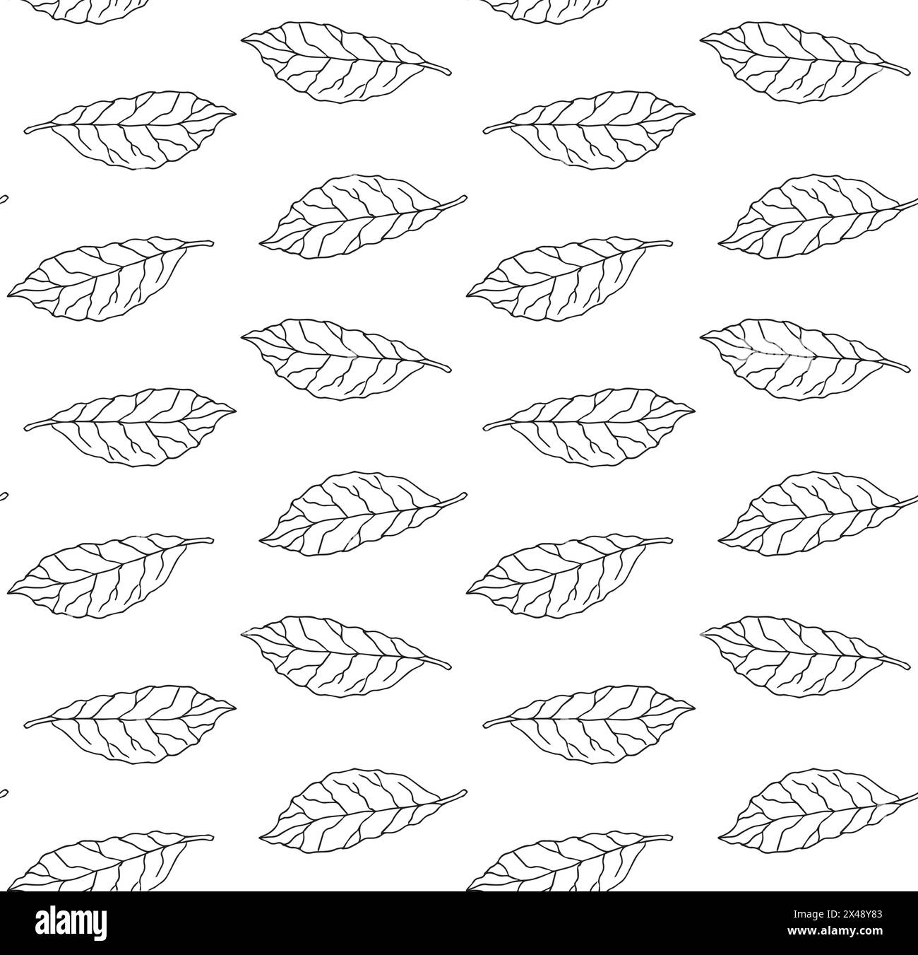 Vector seamless pattern of hand drawn bay leaf Stock Vector Image & Art ...