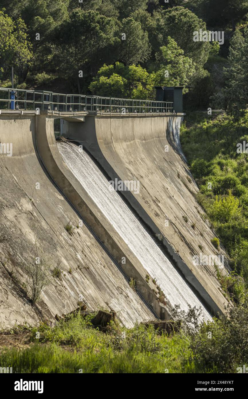 The biogeochemical environment of a swamp depends on its hydrology ...