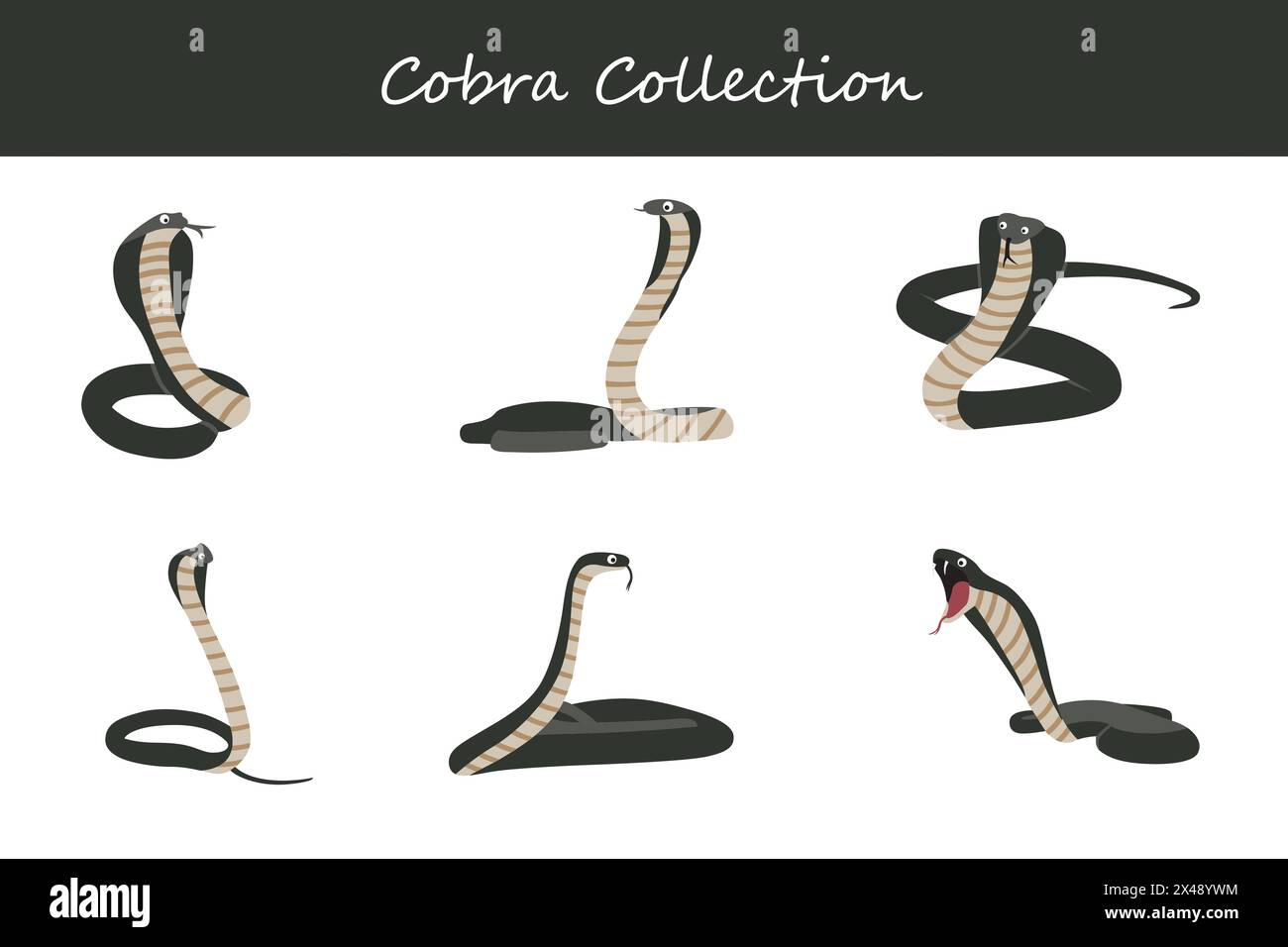 Cobra collection. Cobra in different poses. Vector illustration Stock ...