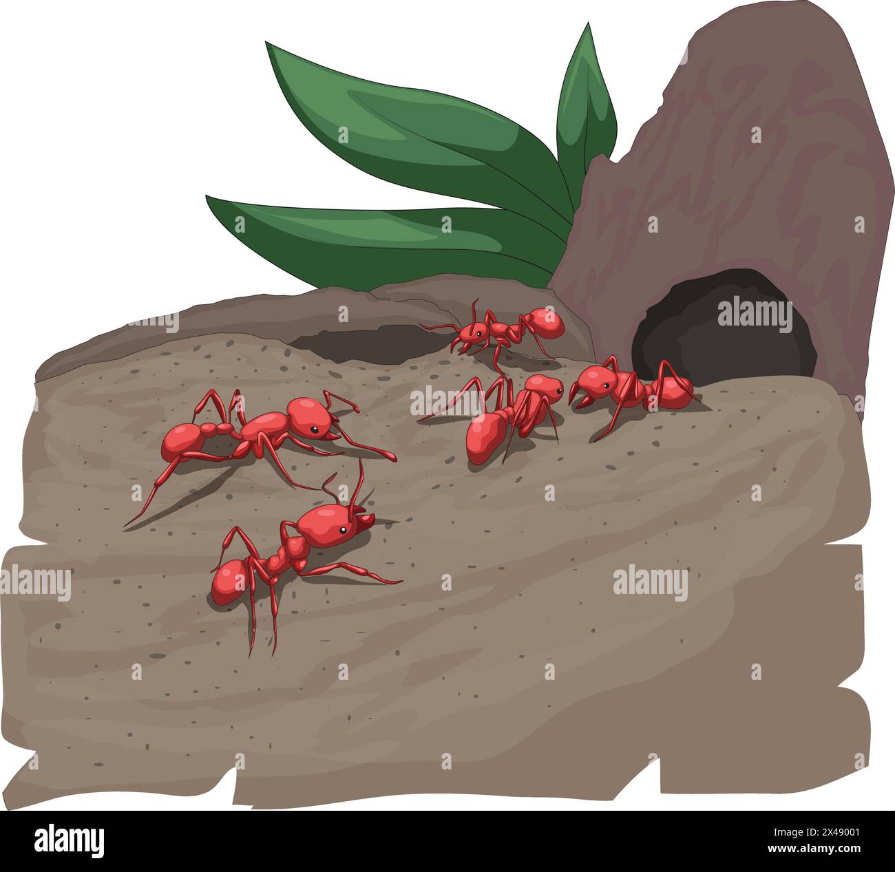Anthill ant Stock Vector Images - Alamy