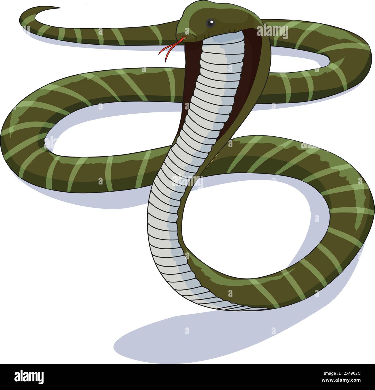A venoumous snake sitting quietly Stock Vector Image & Art - Alamy