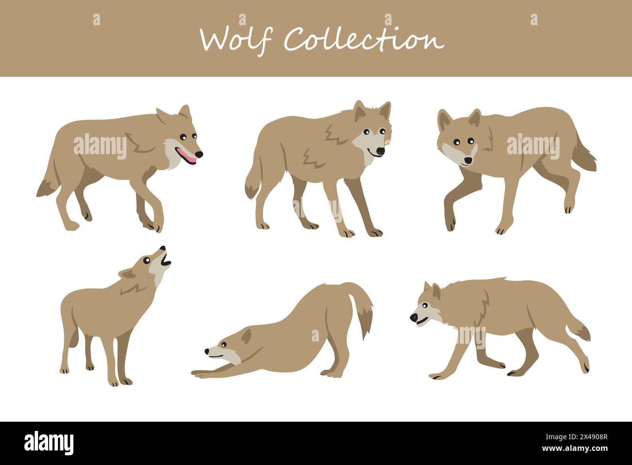 Wolf looking back Stock Vector Images - Alamy