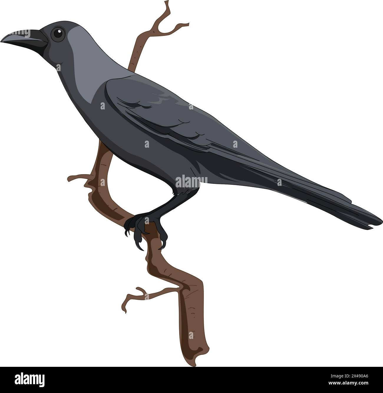 Bird wildlife tree safari Stock Vector Images - Alamy