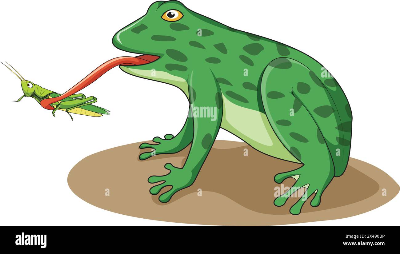 A frog trying to catch a grasshopper with its tongue Stock Vector Image ...