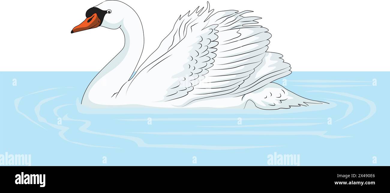 Hand drawn duck animal Stock Vector Images - Alamy