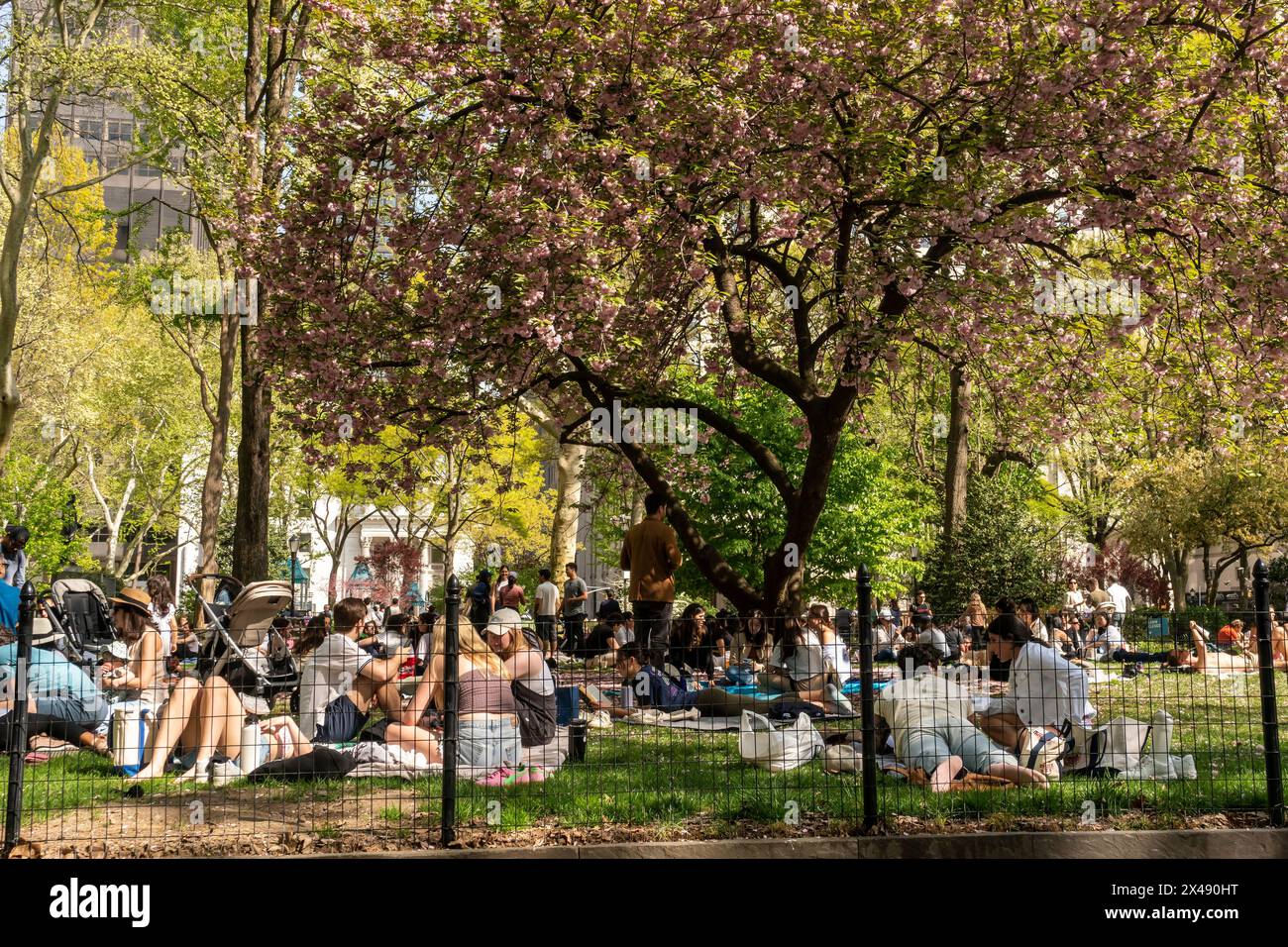 People in Madison Square Park in New York take advantage of the ...