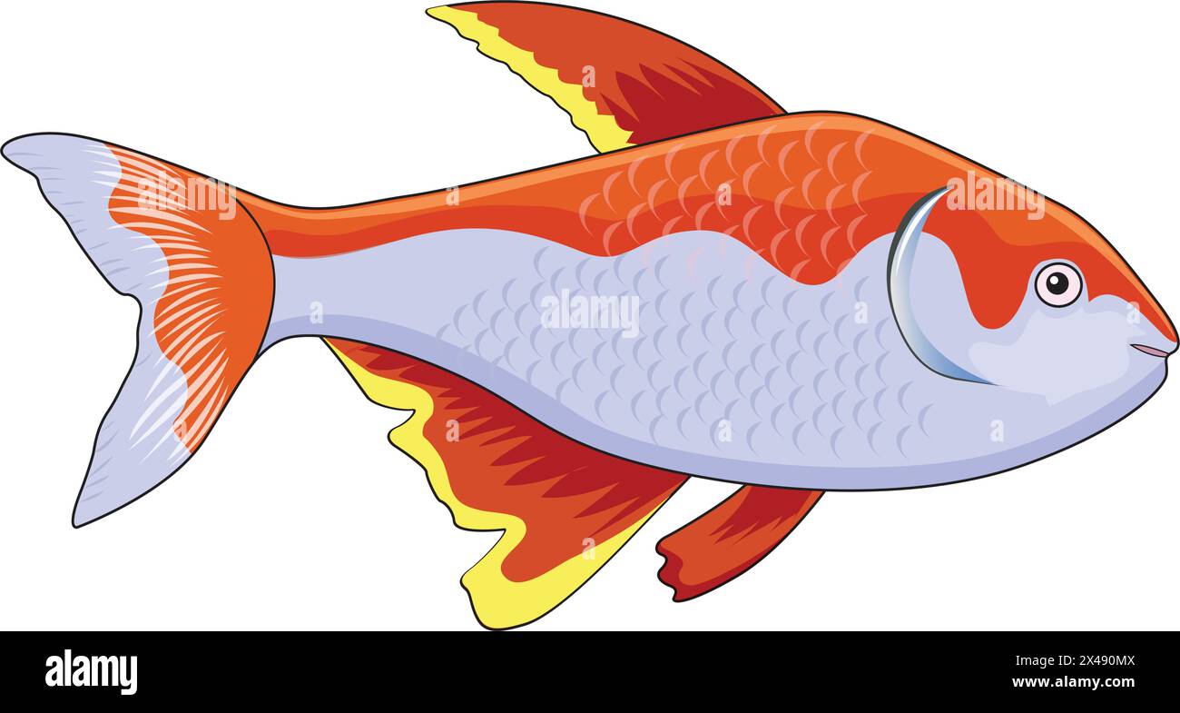 Illustration an fish Cut Out Stock Images & Pictures - Alamy