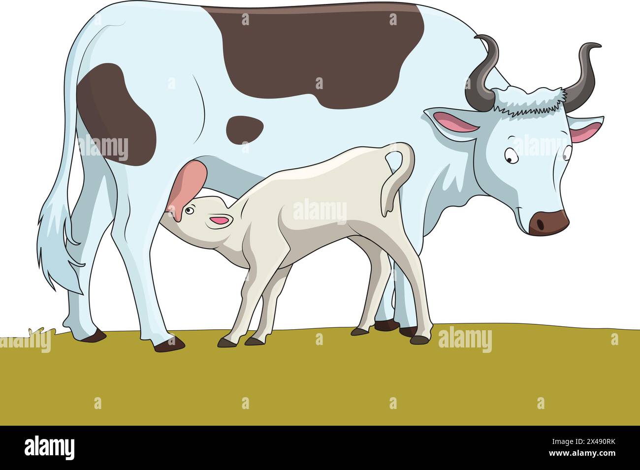 Cute calf and cow illustration Stock Vector Image & Art - Alamy