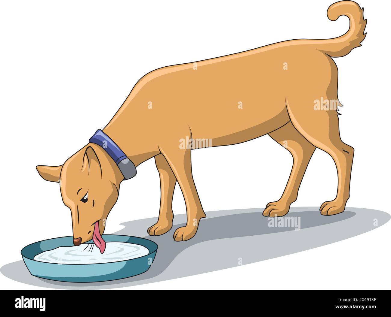 Cute dog licking milk from a plate Stock Vector Image & Art - Alamy