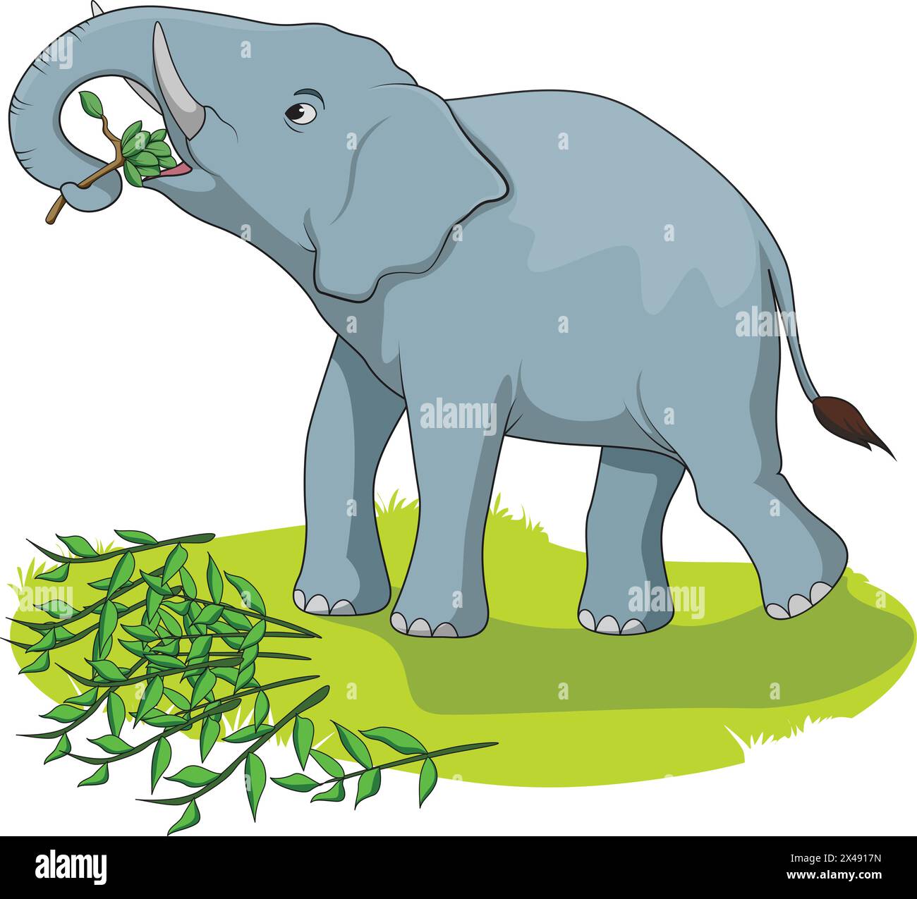Cute elephant eating leaves Stock Vector Image & Art - Alamy