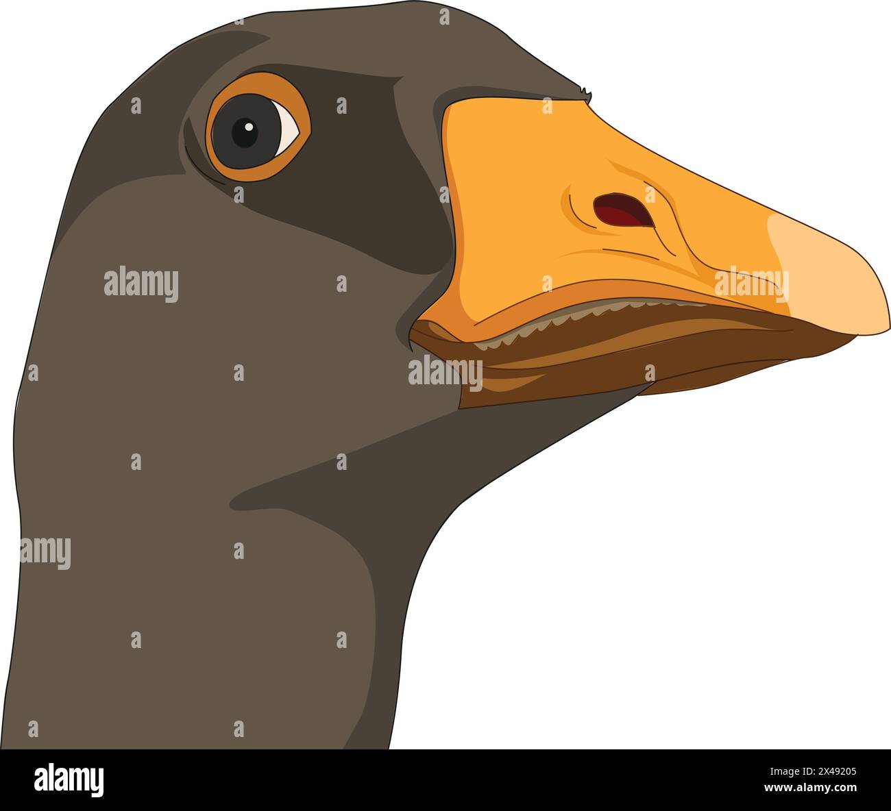 Domestic goose goose farm Stock Vector Images - Alamy