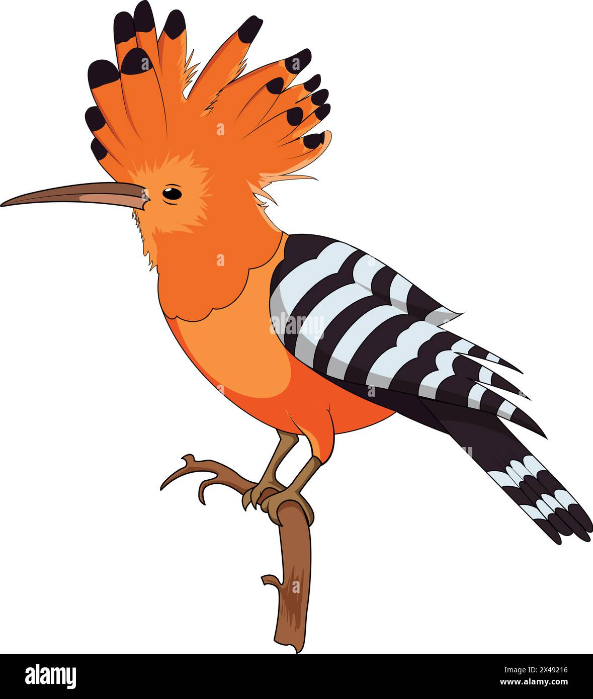 Common tropical bird Stock Vector Images - Alamy