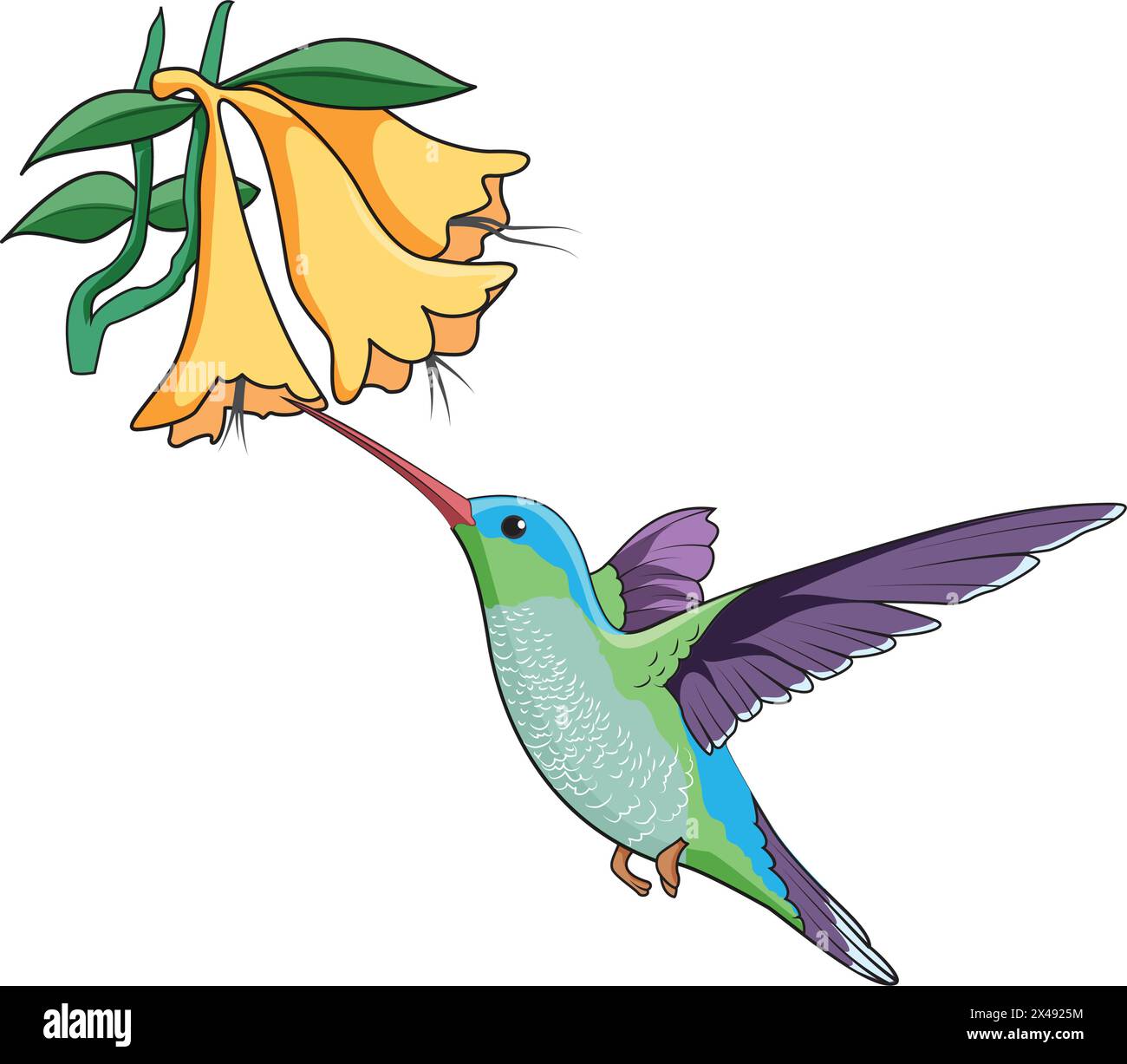 From animal animals Stock Vector Images - Alamy