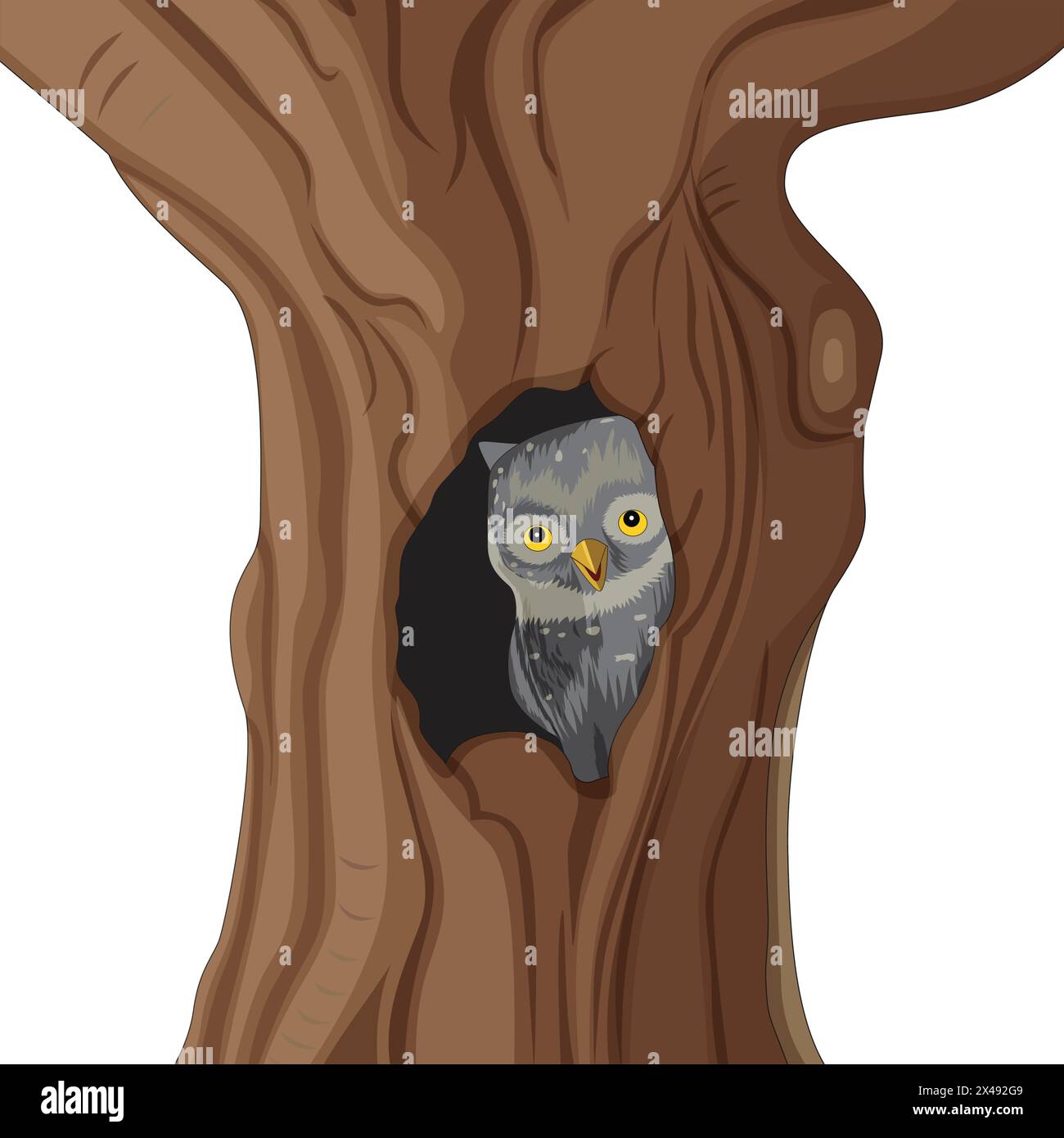 Bark tree trunk Stock Vector Images - Alamy