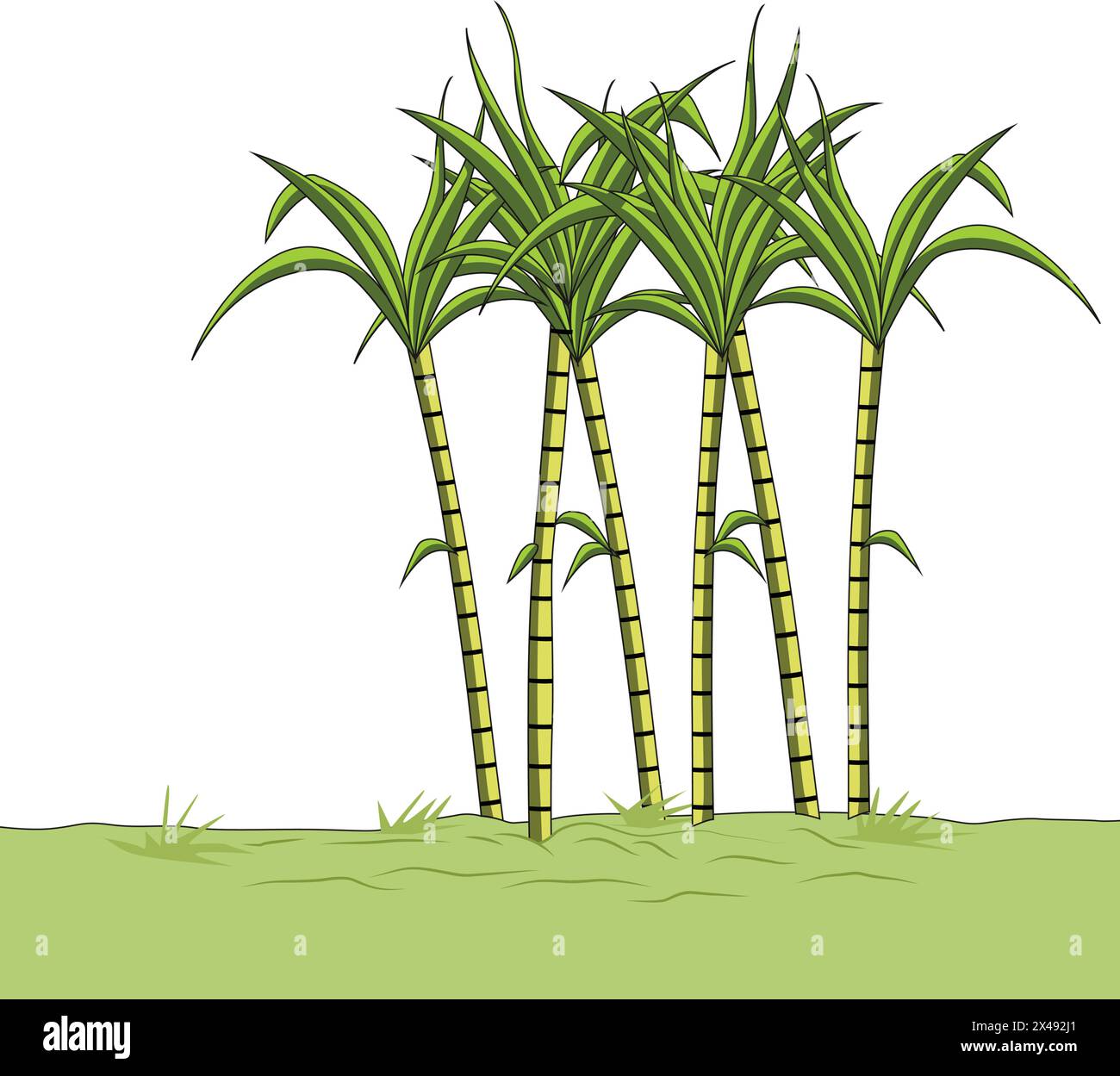 Trees in field green Stock Vector Images - Alamy