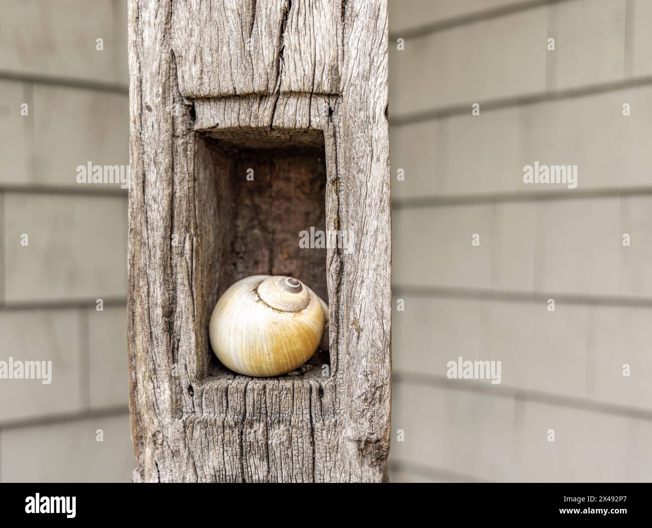 Cavaity hi-res stock photography and images - Alamy