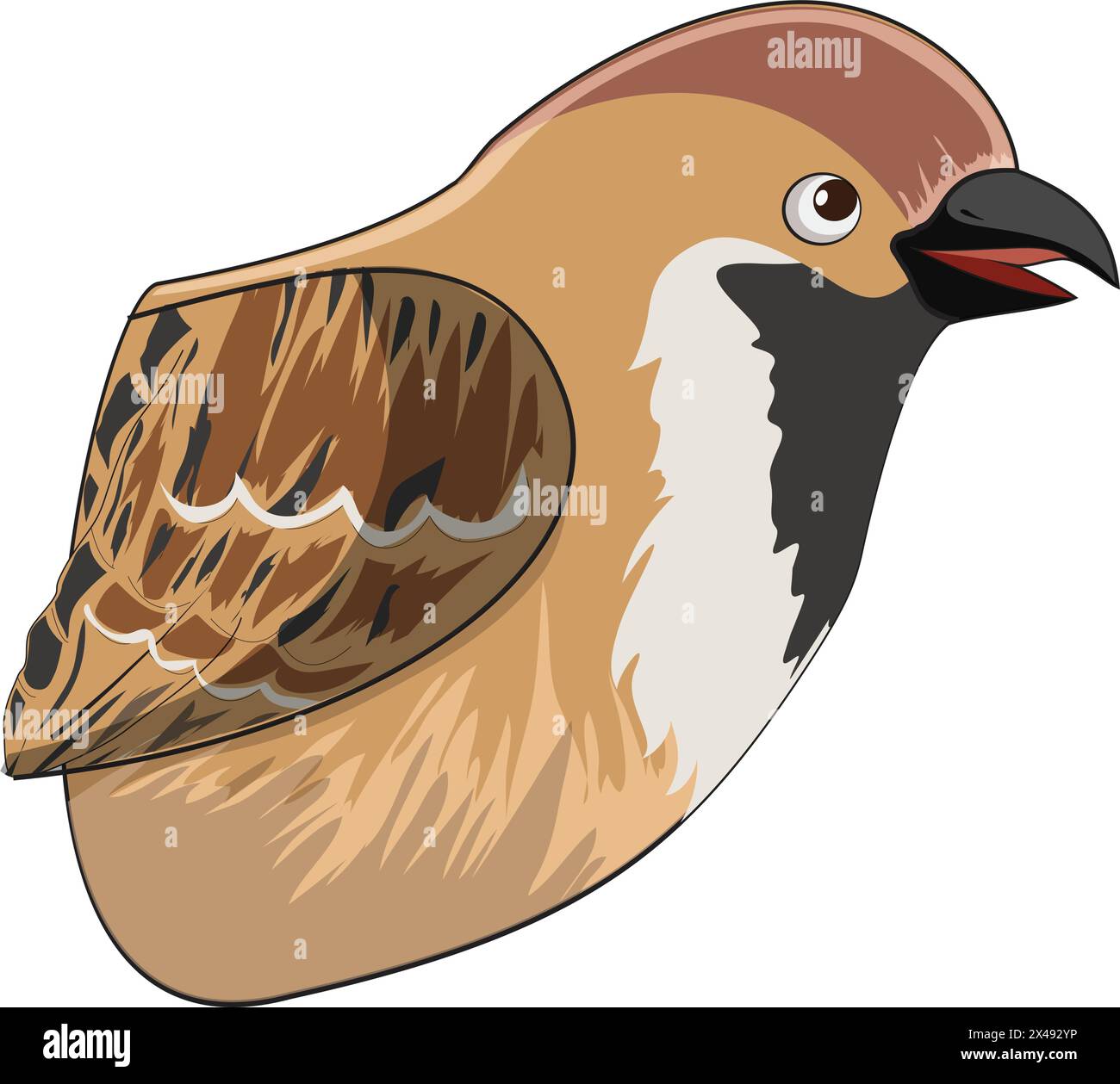 Bird birds wing beak Cut Out Stock Images & Pictures - Alamy