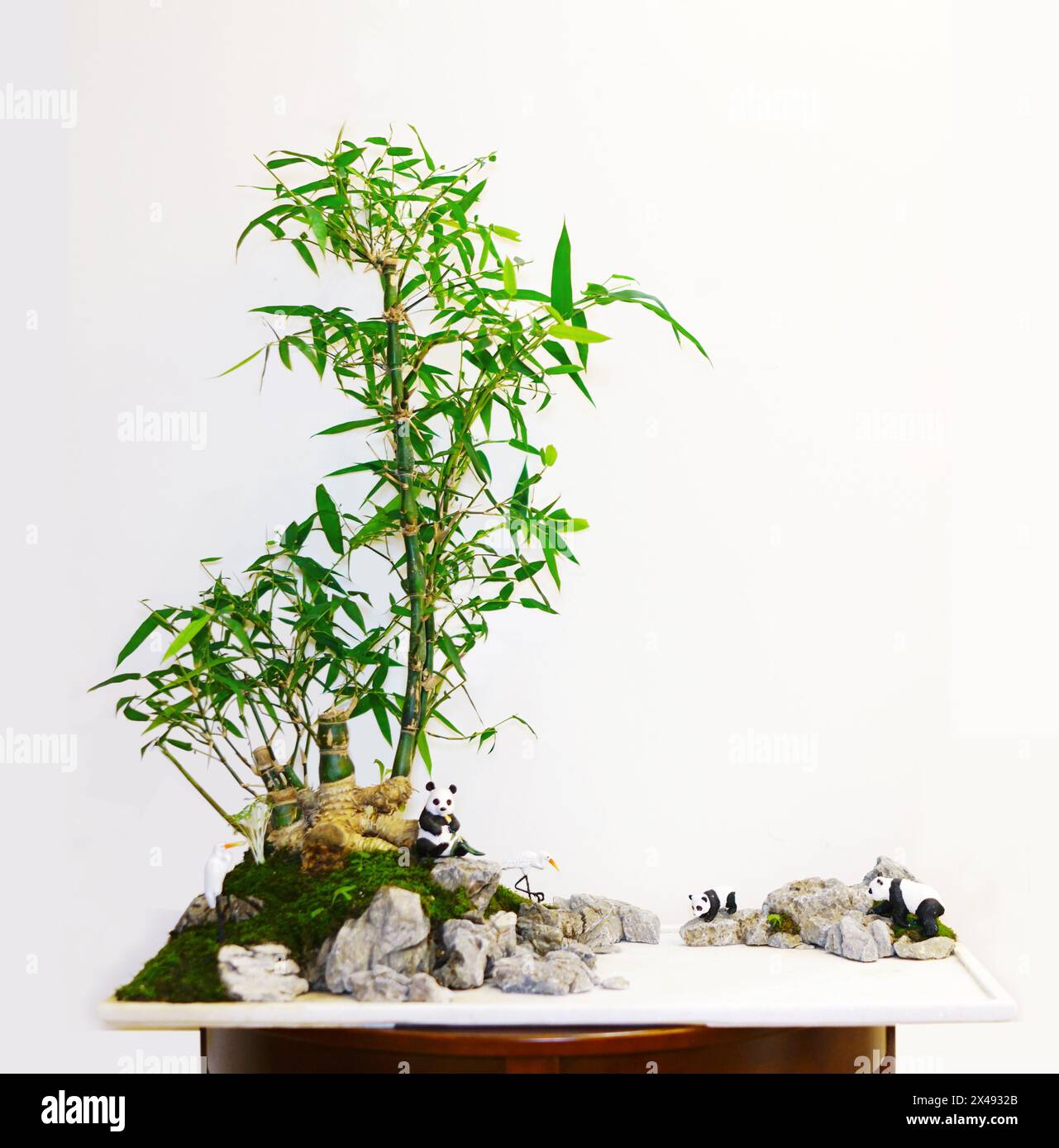 (240501) -- CHENGDU, May 1, 2024 (Xinhua) -- This undated file photo ...