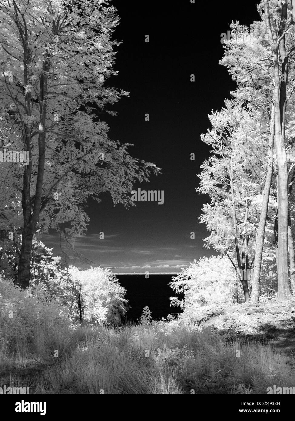 infra red photography, landscapes Stock Photo - Alamy