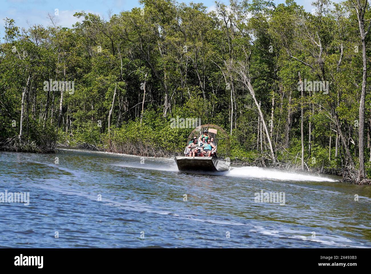4/17/24, Everglades City, Florida, United States Tourists on an Air ...