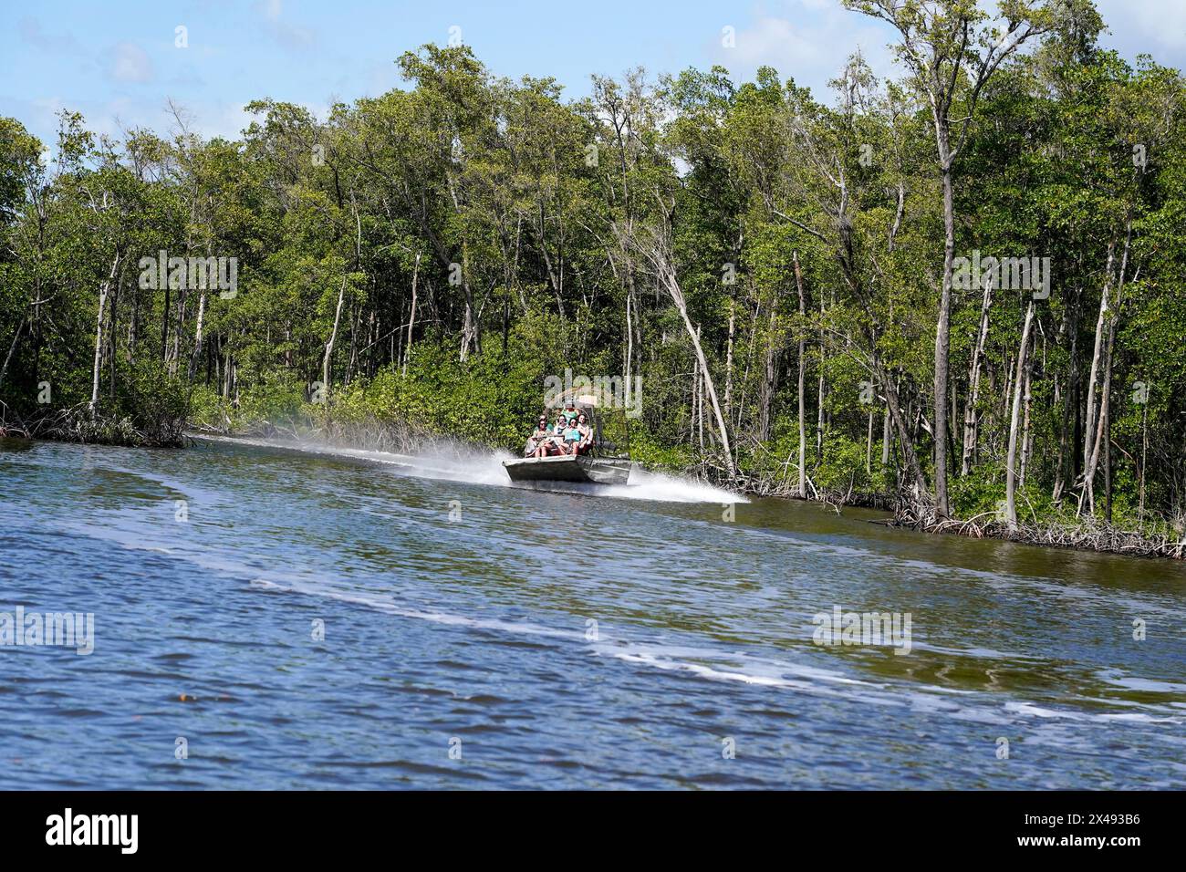 4/17/24, Everglades City, Florida, United States Tourists on an Air ...