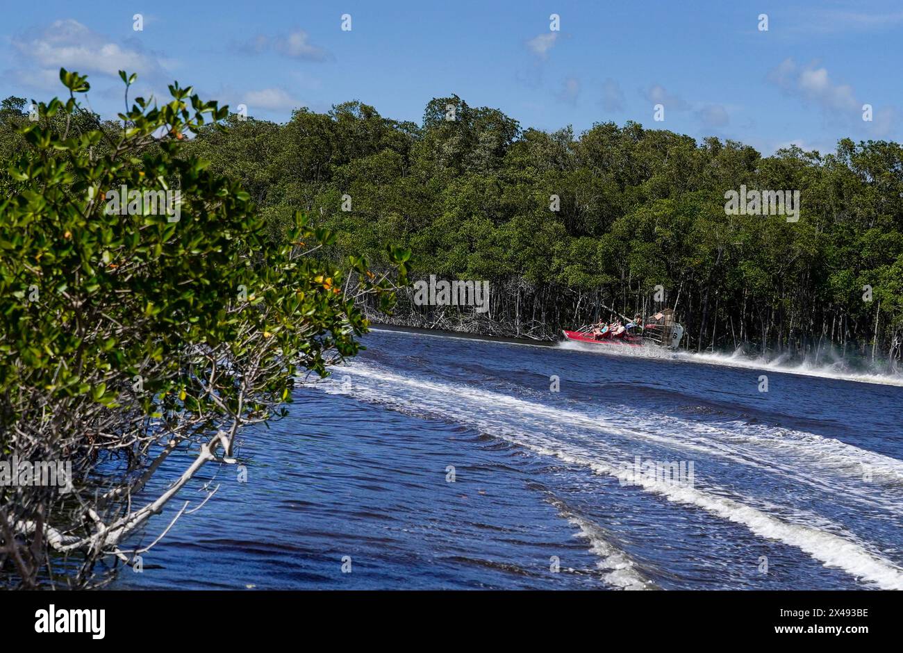 4/17/24, Everglades City, Florida, United States Tourists on an Air ...