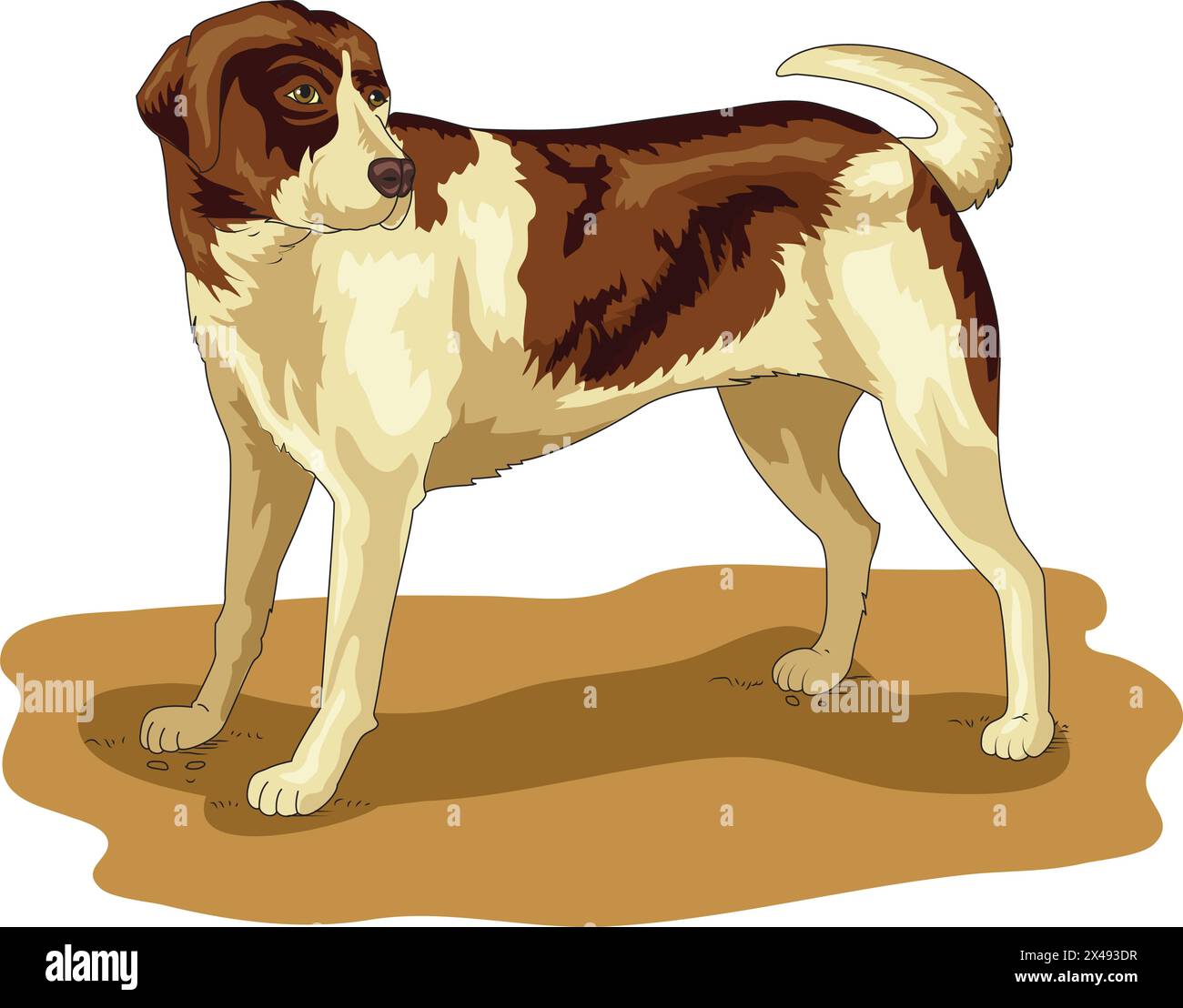 Cute little dog waging its tail Stock Vector Image & Art - Alamy