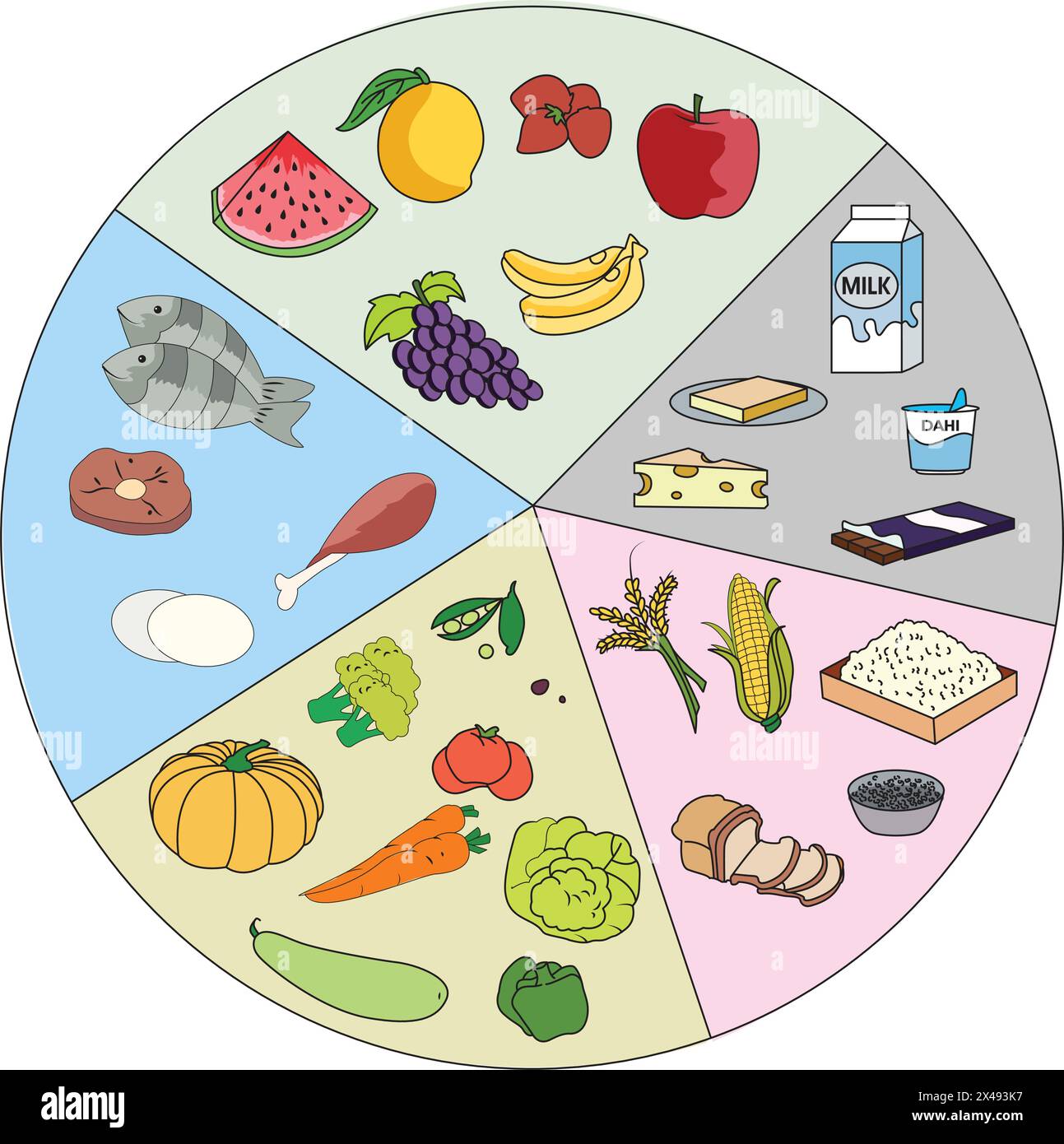 Flow chart showing different sources of food Stock Vector Image & Art ... Flow chart showing different sources of food Stock Vector Image & Art ...