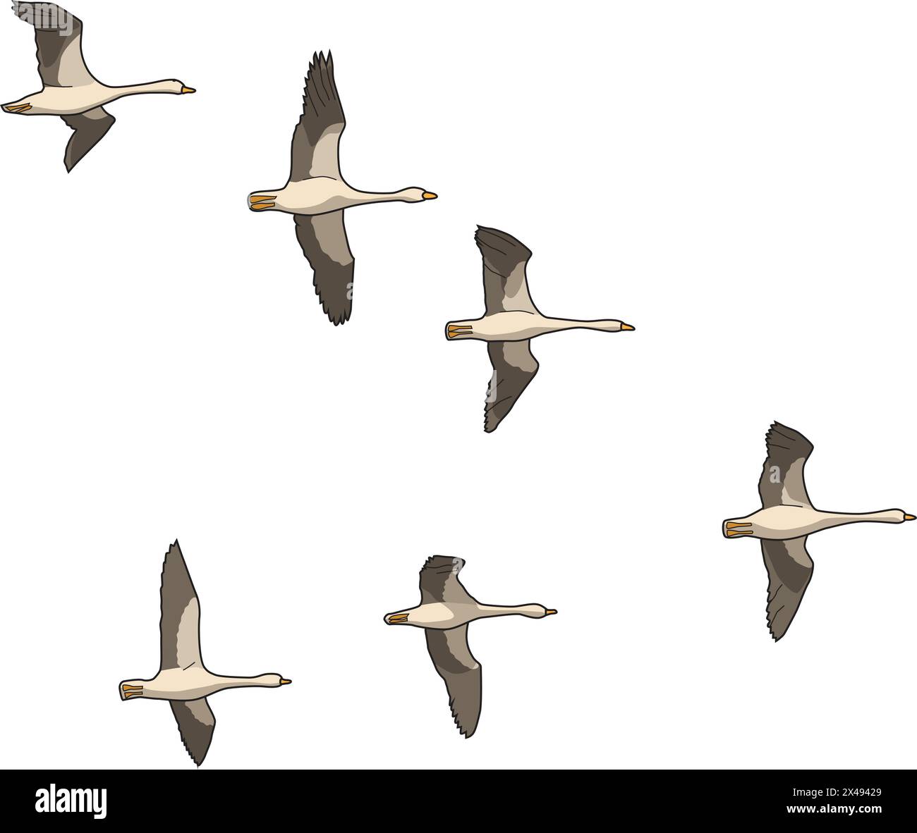 Flying a dove Stock Vector Images - Alamy