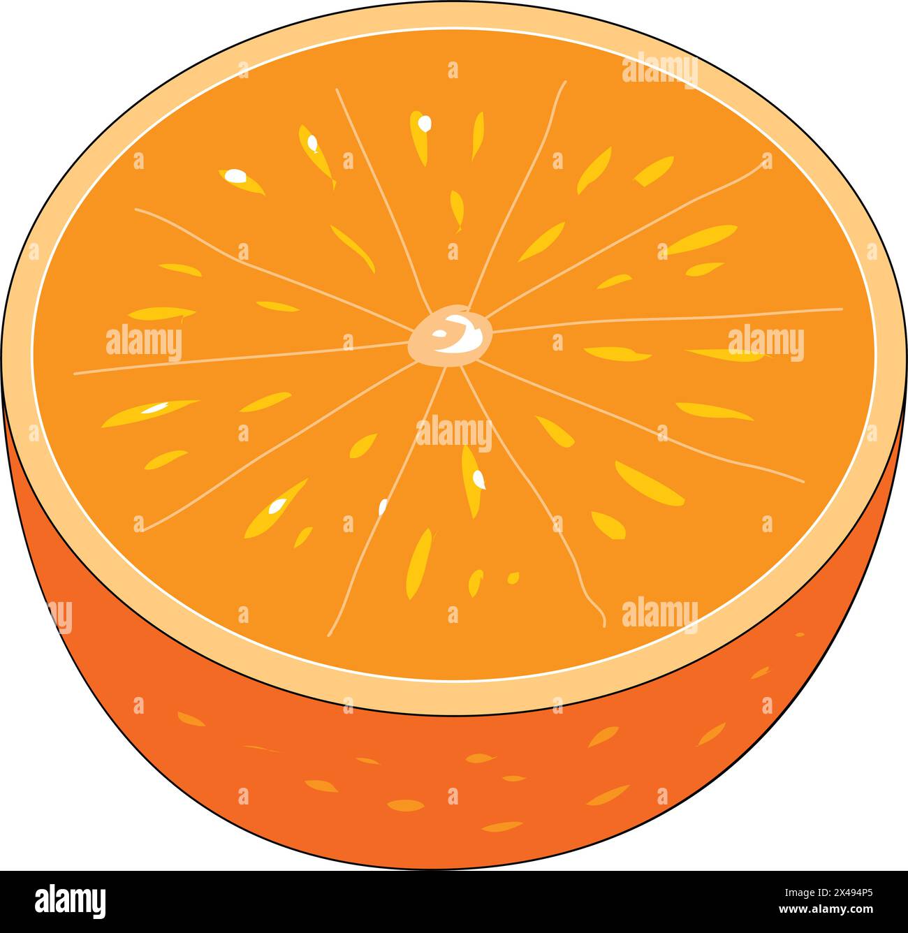 Orange fruit slice leaves Stock Vector Images - Alamy