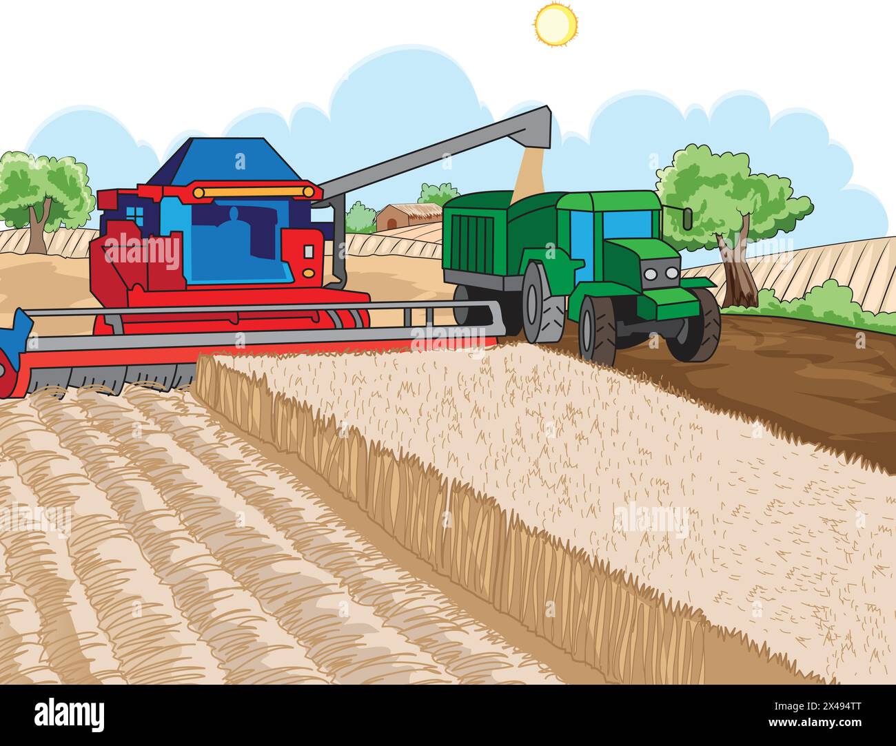 Cutting and collection of wheat crop using combine harvester Stock ... Cutting and collection of wheat crop using combine harvester Stock ...