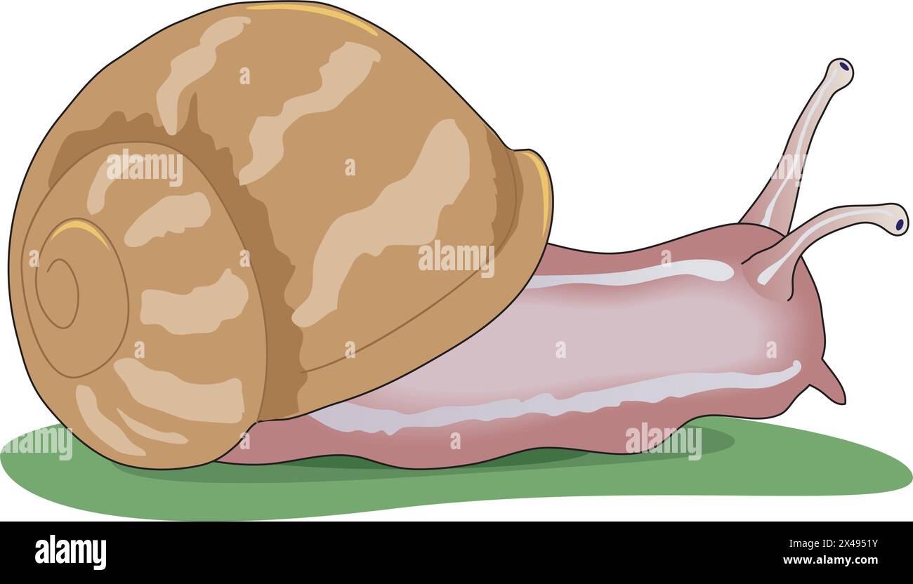 Cute snail cartoon illustration Cut Out Stock Images & Pictures - Alamy