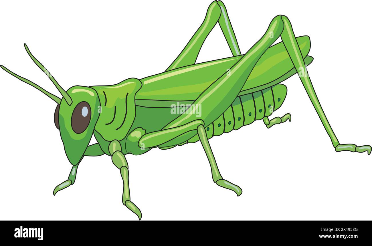 Cute grasshopper sitting quietly Stock Vector Image & Art - Alamy