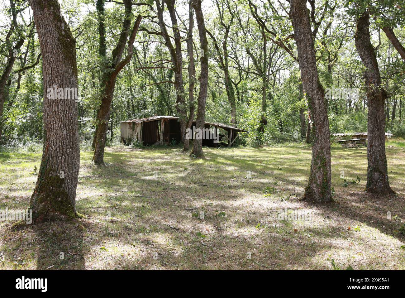 A cabin in the woods, France Stock Photo - Alamy
